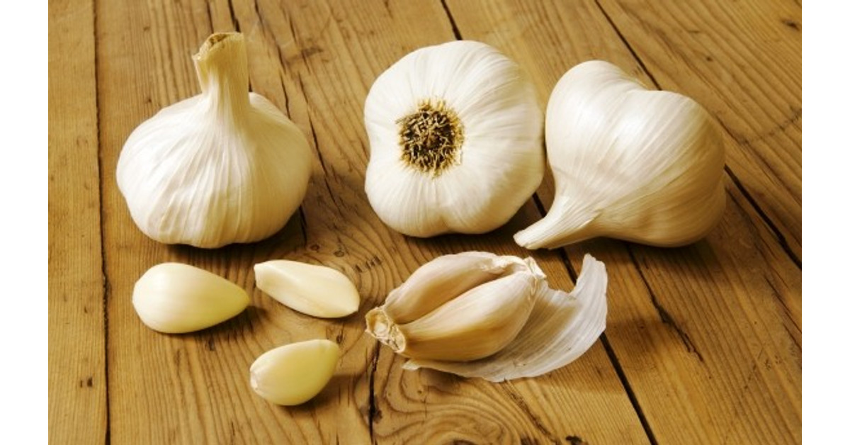 Fokhagyma, dughagyma